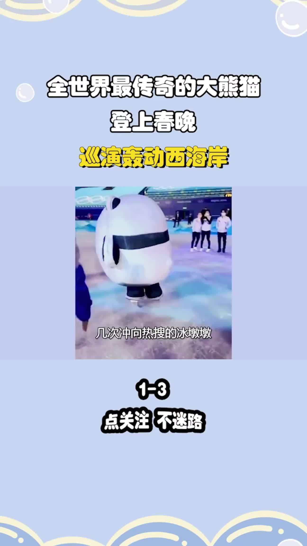 全世界最传奇的大熊猫"巴斯",登上春晚,巡演轰动西海岸 巴斯