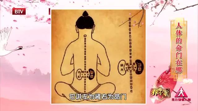 人体“命门”在哪里?