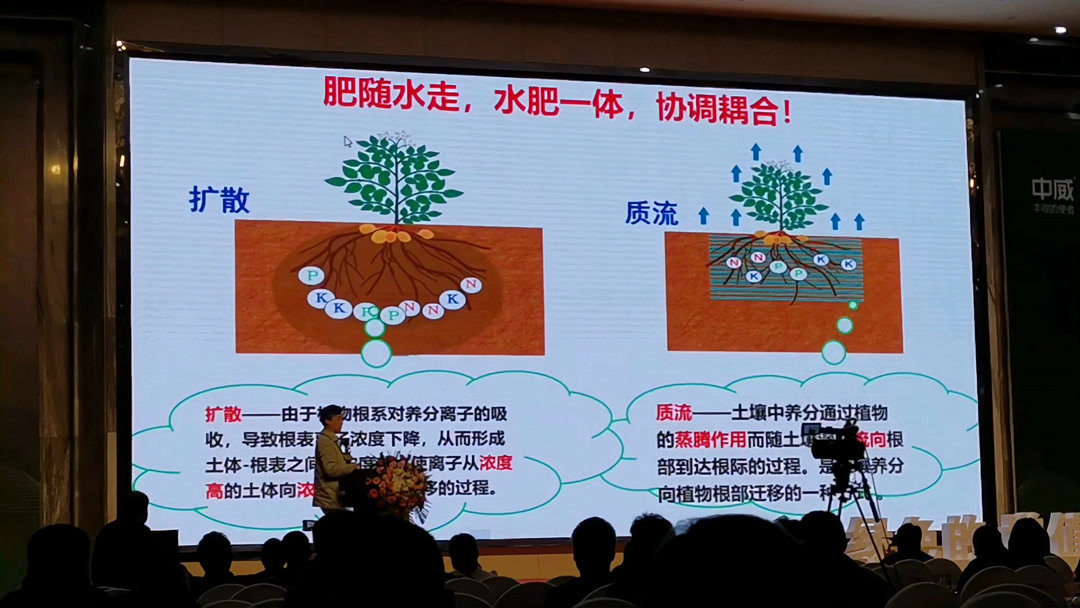果树营养的几个重要应用理论定律