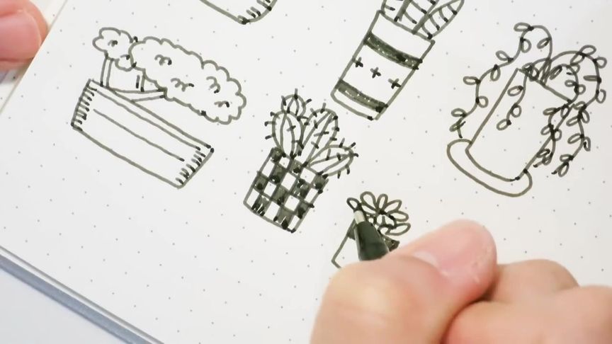 手帐涂鸦|盆栽植物简笔画