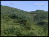 [每日农经]不可小看的刺梨(2010.10.27)