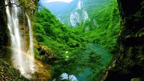 张家界天门山森林公园和国家森林公园,有什么区别?...