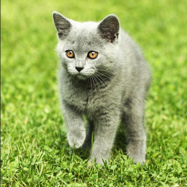 一个非常懒的UP主 