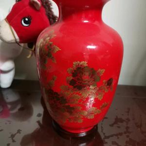 好奇灯塔7w7 