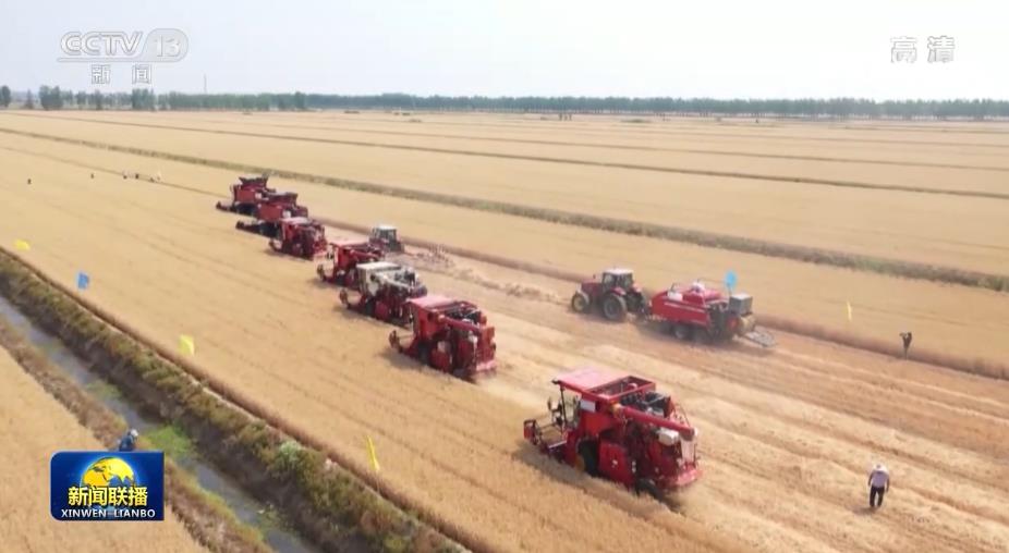 ...种粮大户 带动广大小农户多种粮种好粮 一起为国家粮食安全贡献力量