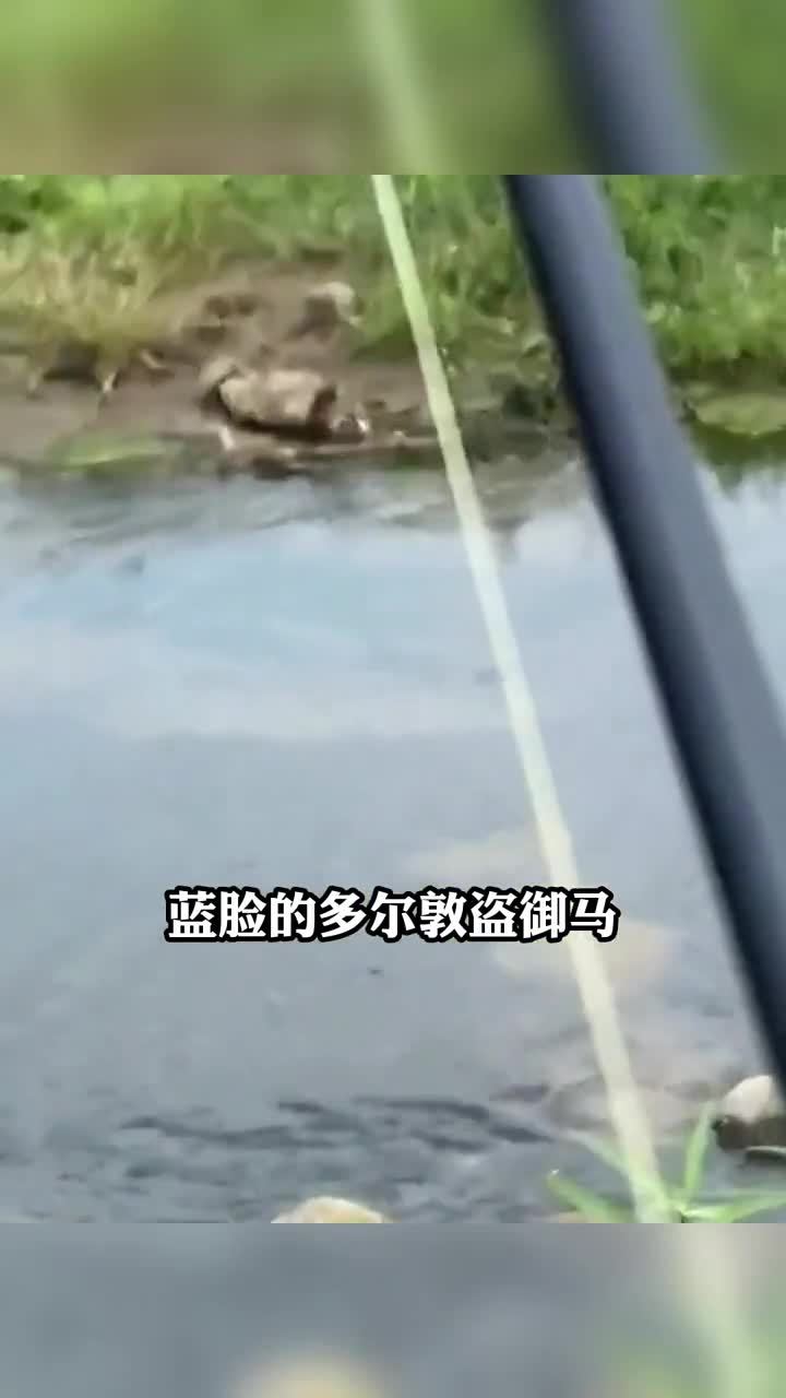 淹死的都是会水的 #搞笑视频 #搞笑配音 #搞笑段子