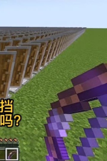我的世界:一大排箭矢突然攻击,盾牌能挡住吗?