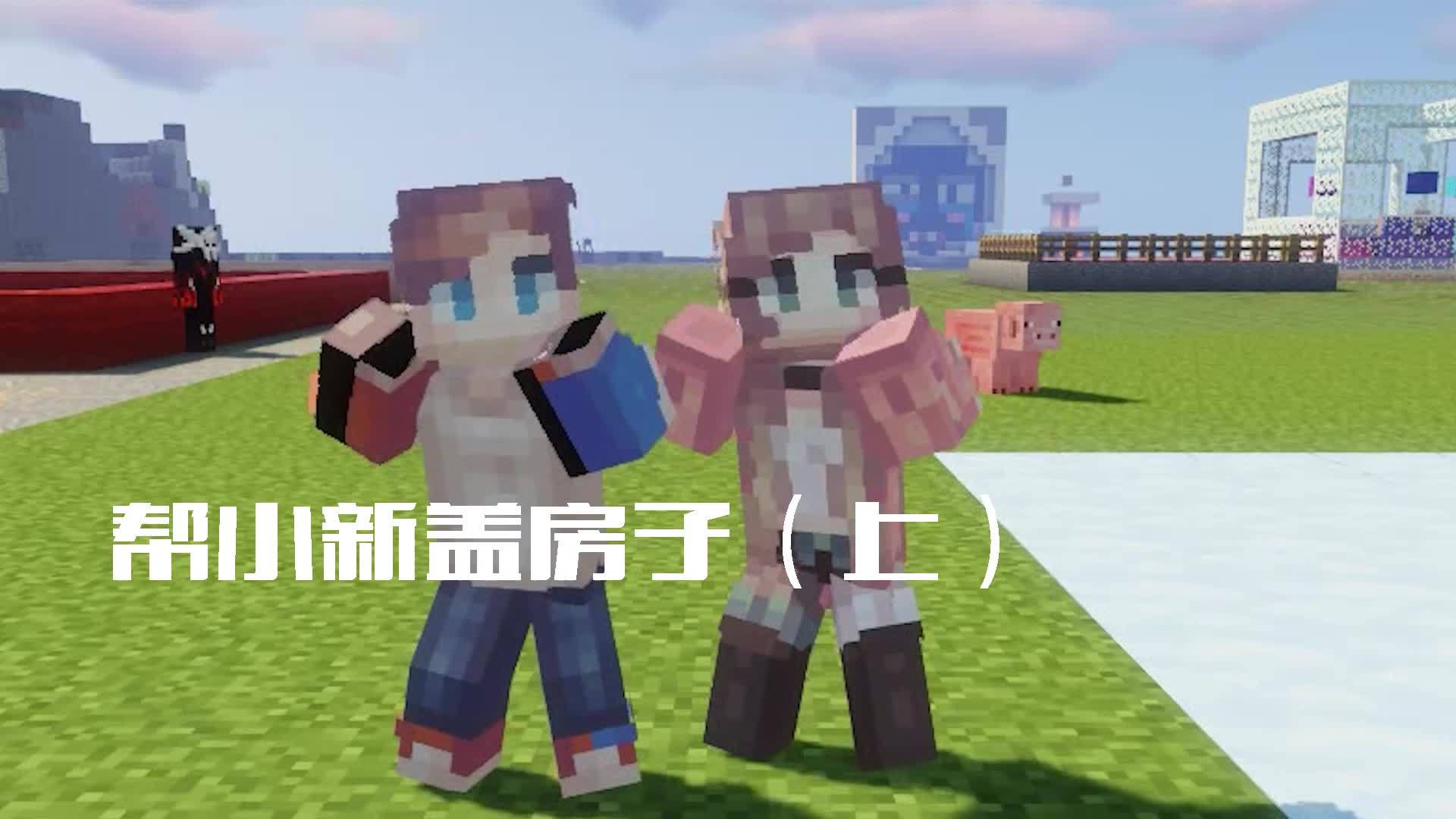 我的世界:给小新盖房子,认错人了