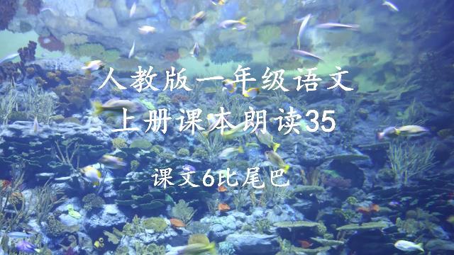 课文6比尾巴 人教部编版小学一年级上册语文课本朗读 教材课文朗诵