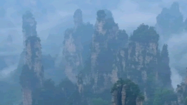 助力旅发大会,张家界欢迎你!