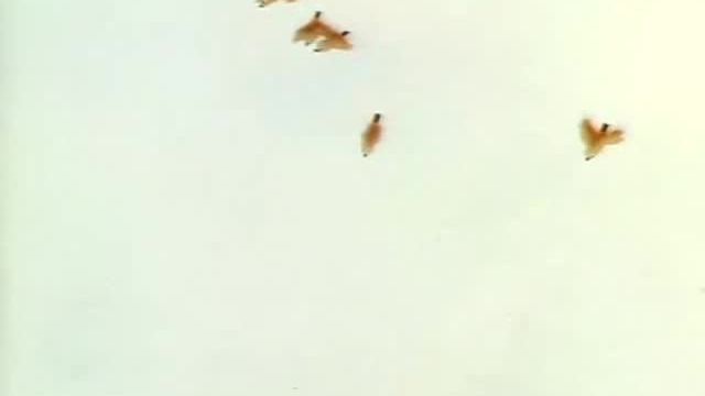 经典中国水墨动画《牧笛》第四段,经典就是经典,满满的回忆!.