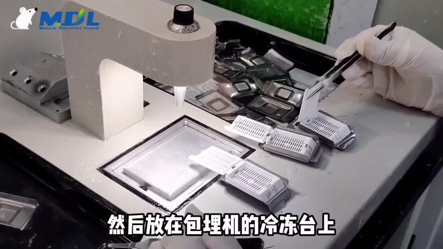 包埋,或许这是个你喜欢的工作#实验室日常 #上热门 #MDL