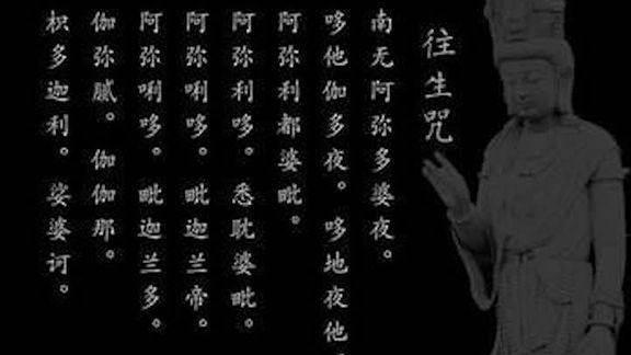 值此清明节诚心念诵《往生咒》深切哀悼!