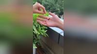不小心划伤了,要及时对伤口进行消毒哦!