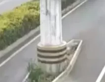 吐槽低头族, 低头族警醒吧, 手机重要还是命重要? 交通安全要牢记