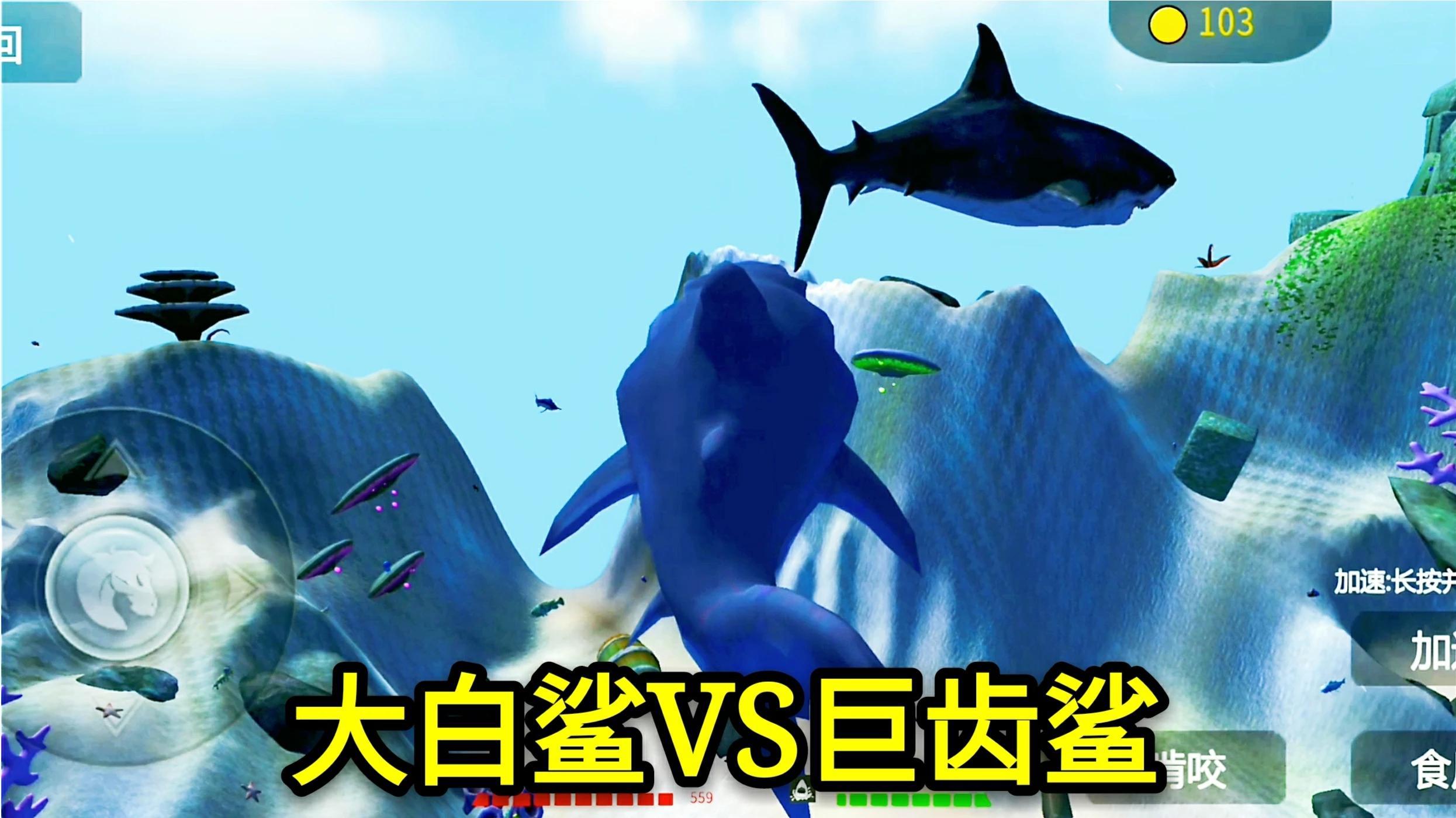 海底大猎杀:大白鲨VS巨齿鲨,会发生什么?结局很精彩