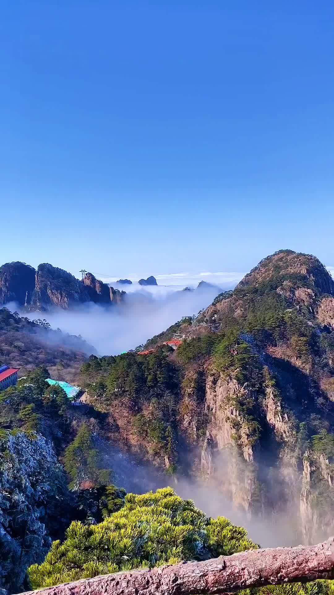 今日黄山,你心动了吗@中国文旅直播大会