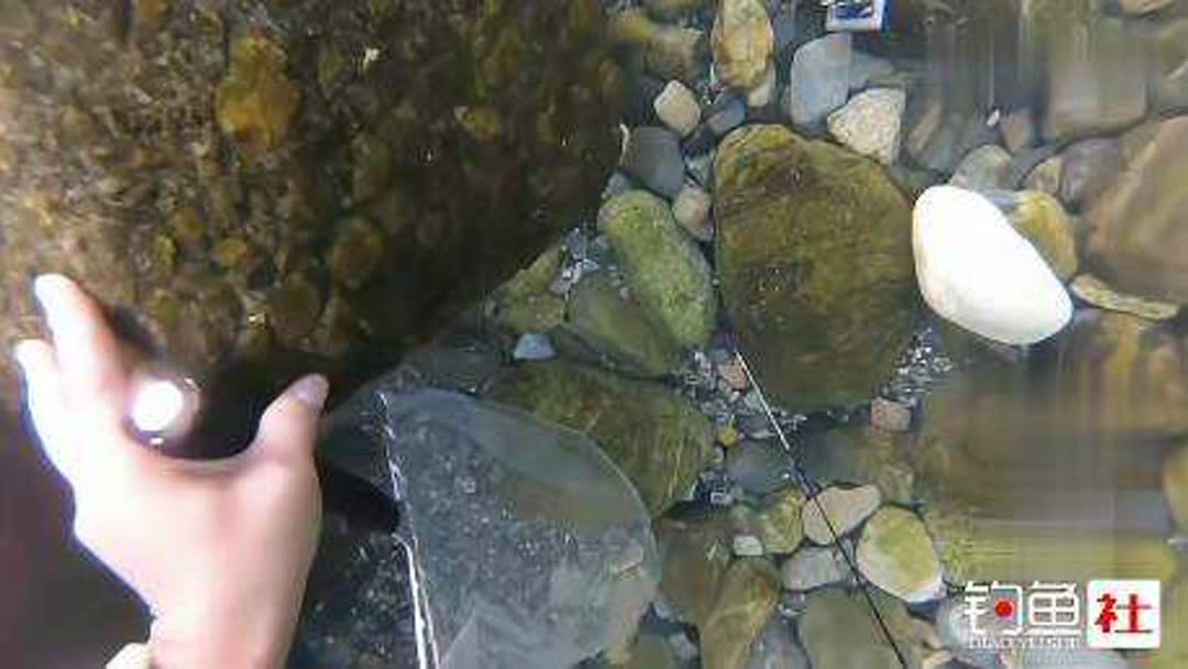 钓鱼人的脑洞有多大?潜入水底用鱼竿钓鱼,太奇葩了!