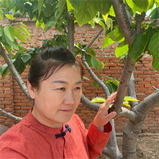 村里的辉姐 