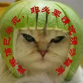 渣渣灰土 