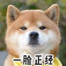 Shark时光 