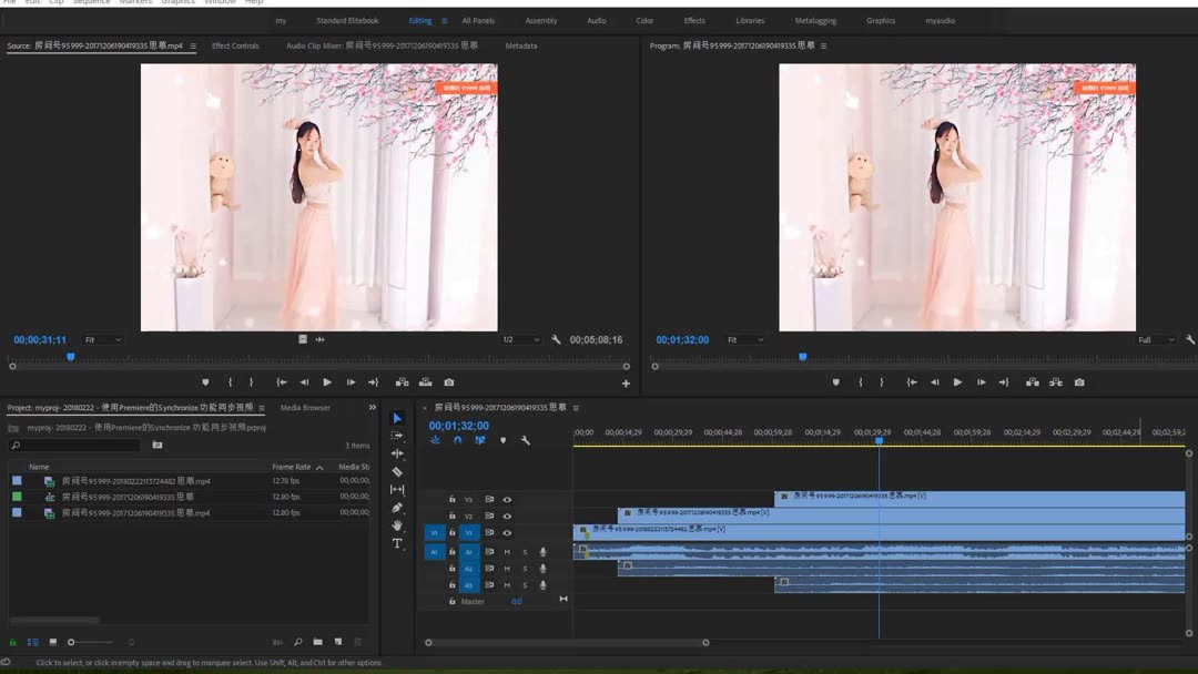 使用 PluralEyes 4.1同步xml