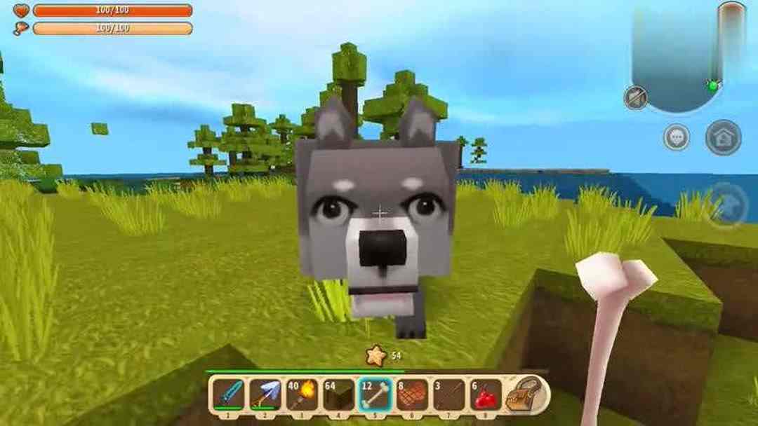 迷你世界联机:松树林里的狼狗好多,身上带的骨头都不够用!