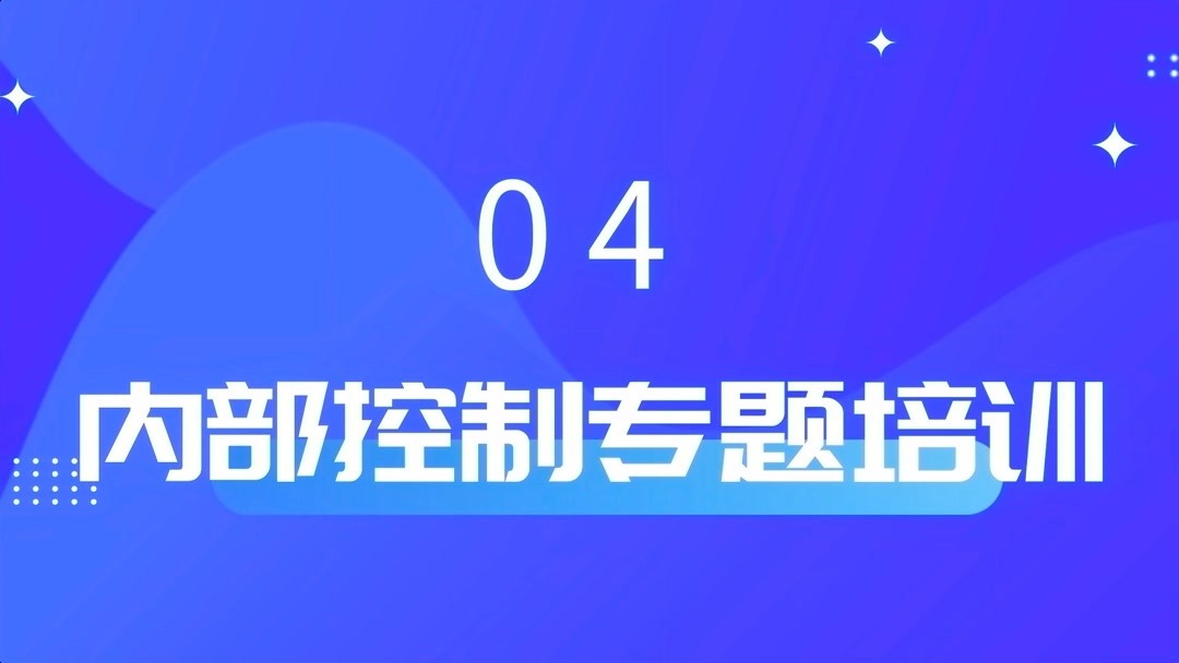 内部控制专题培训 第4课