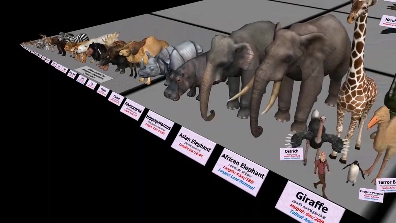 3D生物尺寸对比系列 【全】陆生动物 海洋生物 恐龙 古生物 4弹合集