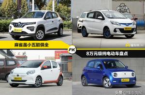 麻雀虽小五脏俱全 8万元级入门纯电动车盘点
