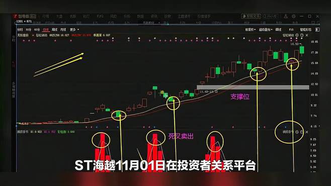 ST海越:公司于2022年9月6日披露中国证监会《行政处罚事先告知书》