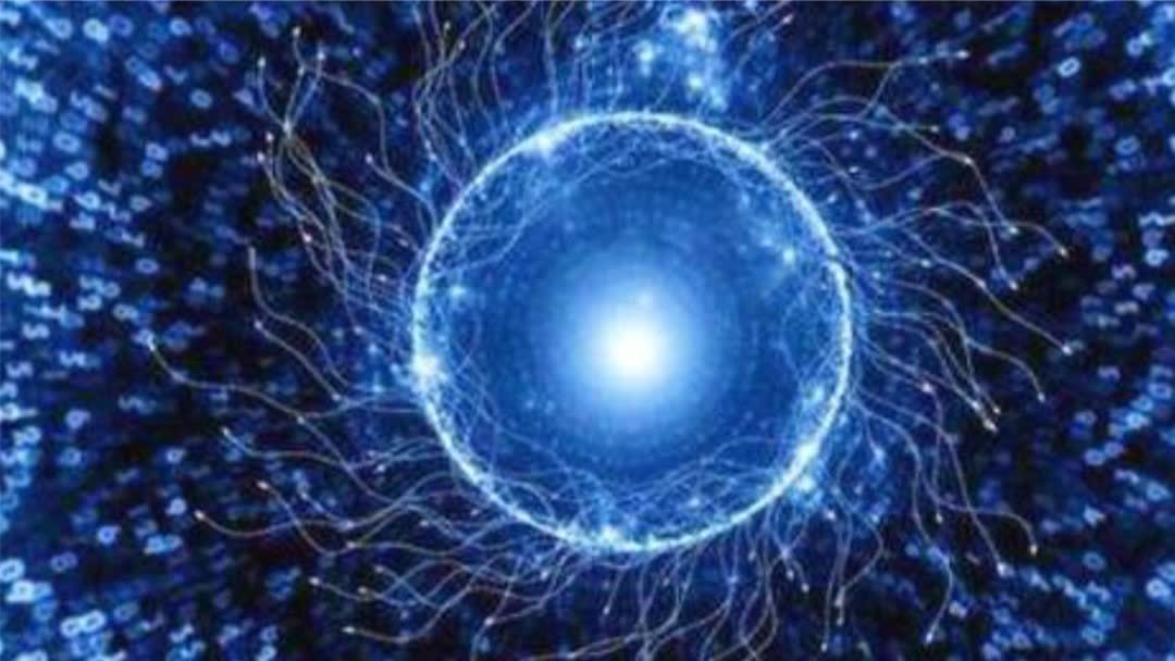 机器人将诞生意识?纳米神经系统已被研究成果,与人脑功能相似