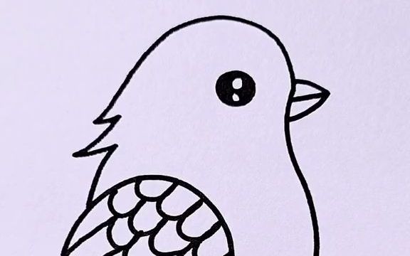 【简笔画】用数字2,5画鸟,真好看