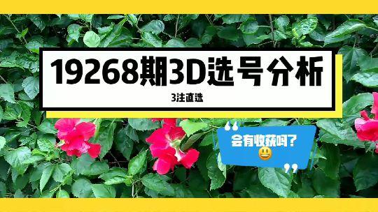 19268期3D选号思路分享,选出3注直选,能不能中奖