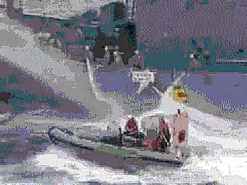 非政府组织管理02-视频教程[上海交大]