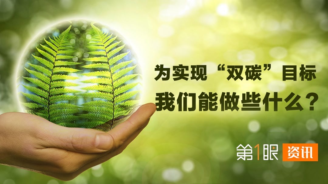 绿色低碳生活理念!为实现双碳目标,你都做过哪些?