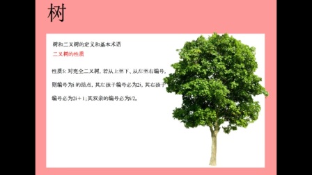 数据结构 第四集树和二叉树