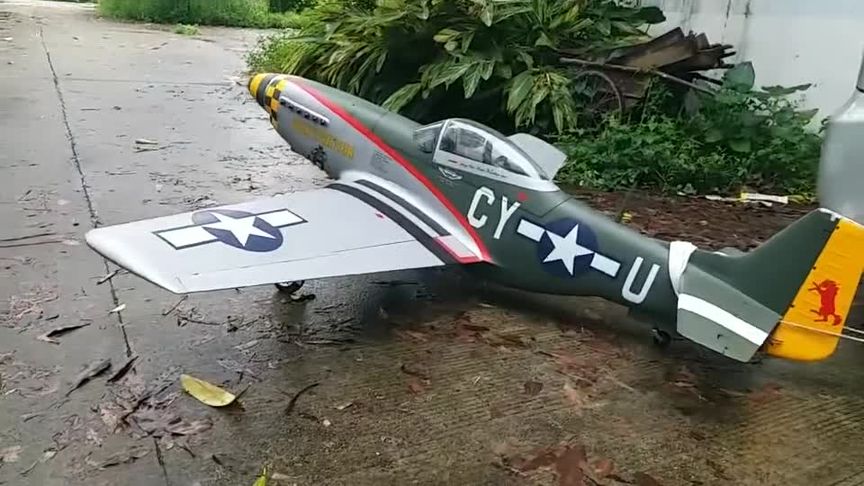 #一起看飞机 #飞机模型 #航模