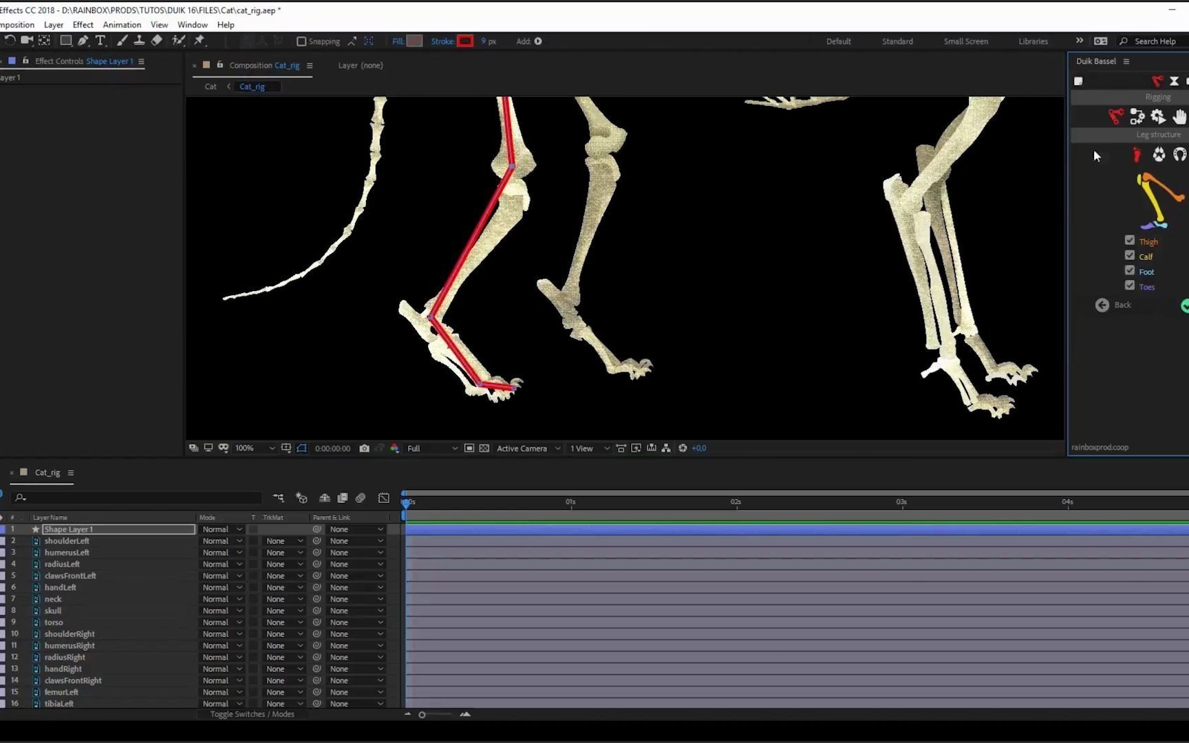Duik Bassle人物角色骨骼绑定官方教程(09.Cat--Structures)