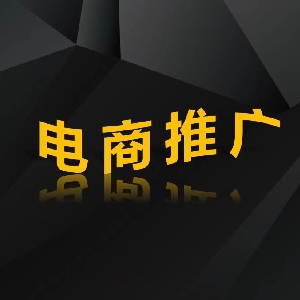 电商推广2 
