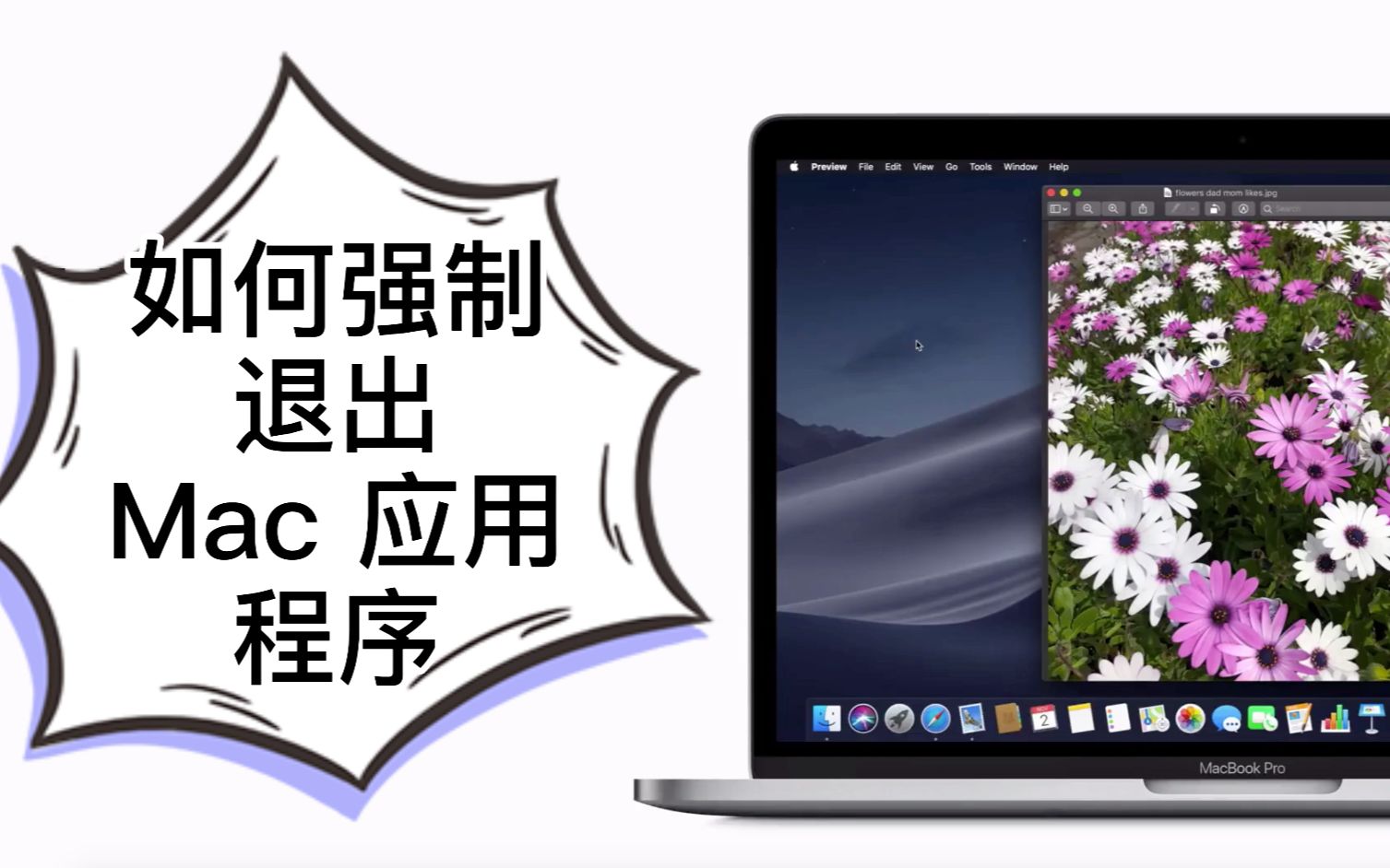 mac应用无响应?如何强制退出Mac 应用程序