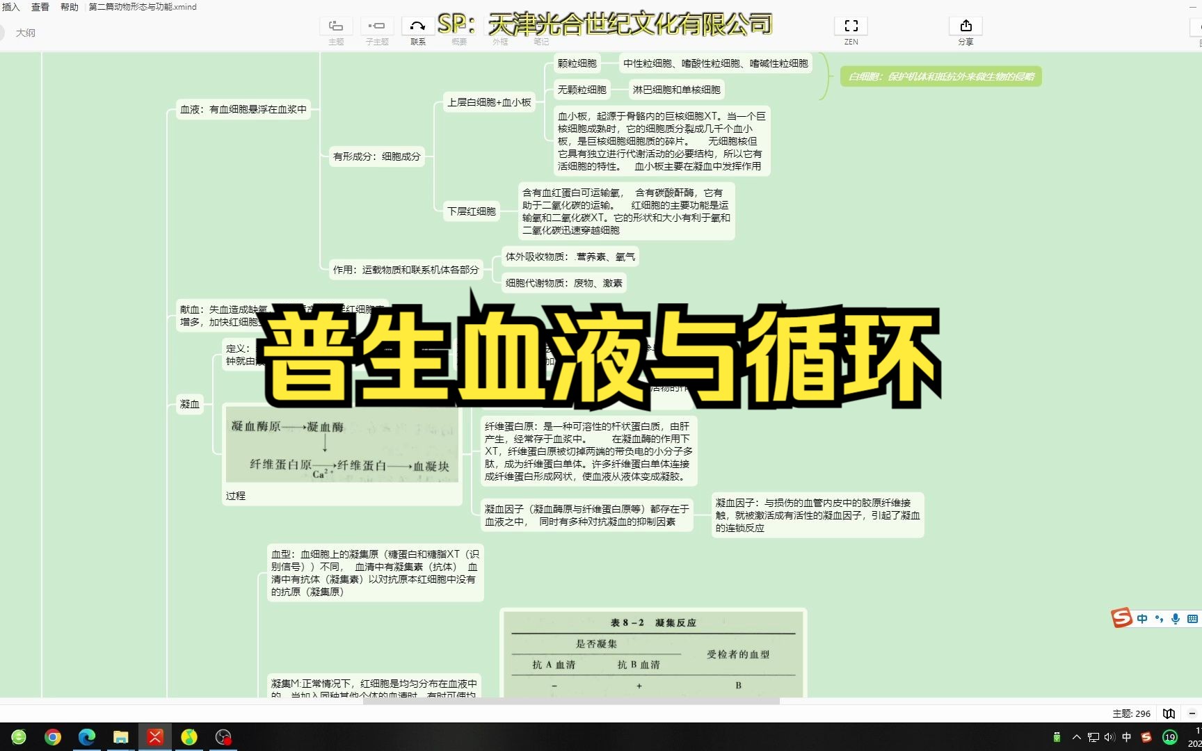 9血液循环(血液、凝血、心脏、兴奋传导、血管、高血压与动脉粥样...