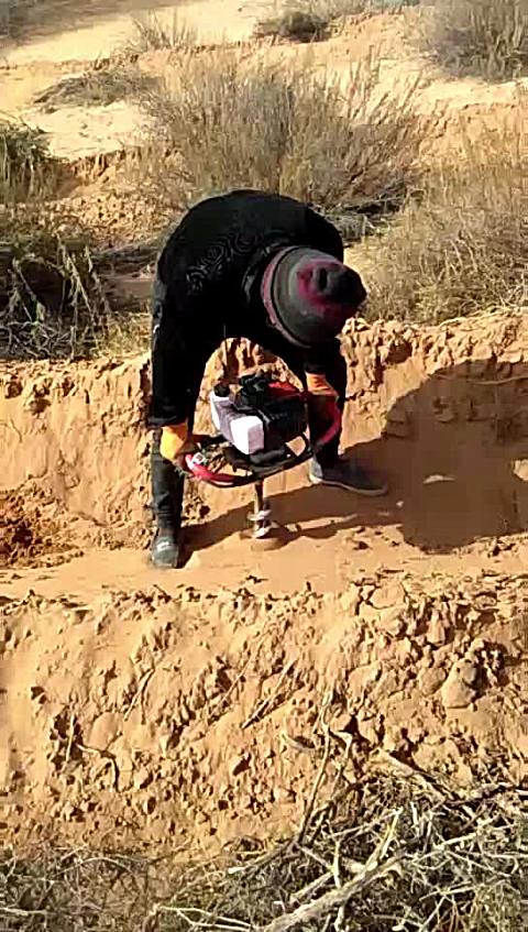 治沙人不忘初心的坚守,终将沙漠变绿洲。