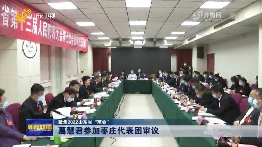 聚焦2022山东两会丨葛慧君参加枣庄代表团审议