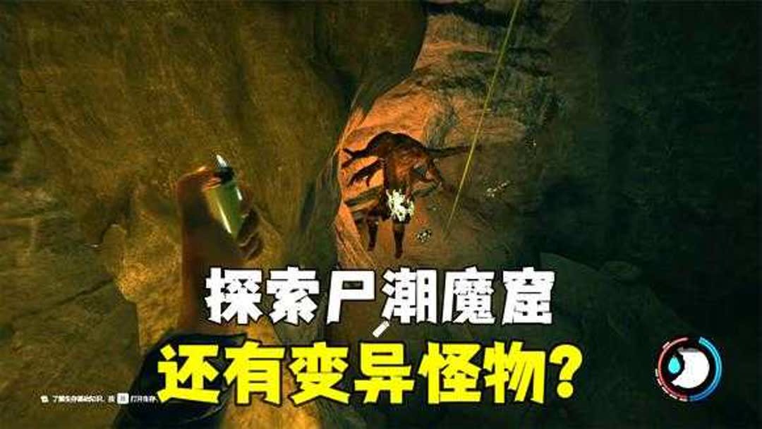森林联机04:探索诡异洞穴,犹如尸潮魔窟,还有变异怪物?