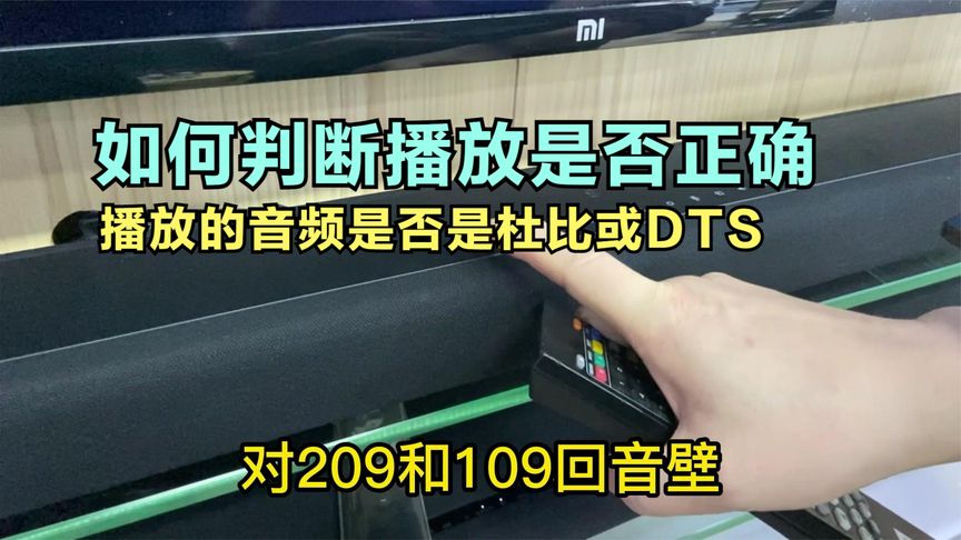 回音壁显示播放的音频格式是否为杜比或是DTS