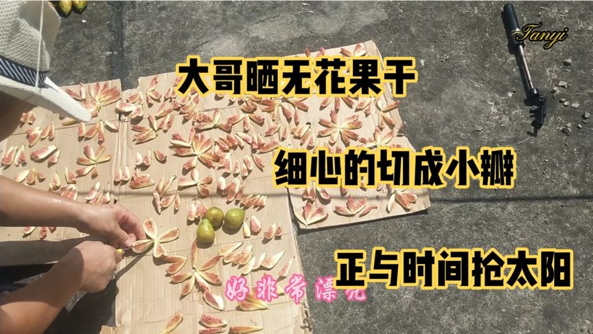 无花果干蜜甜香糯,含人体需要的18种氨基酸,有防癌抗癌的作用