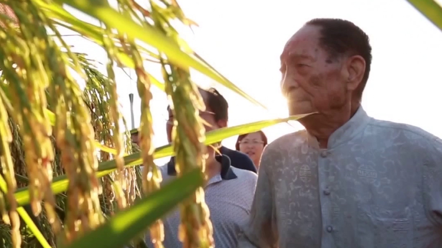 袁隆平:我的终身愿望就是发展杂交水稻造福世界人民