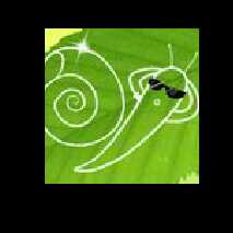 优酷用户1637913602156405 