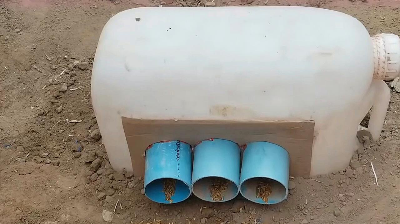 家里老鼠太多怎么办?农村小伙用大水桶自制捕鼠器,来多少抓多少